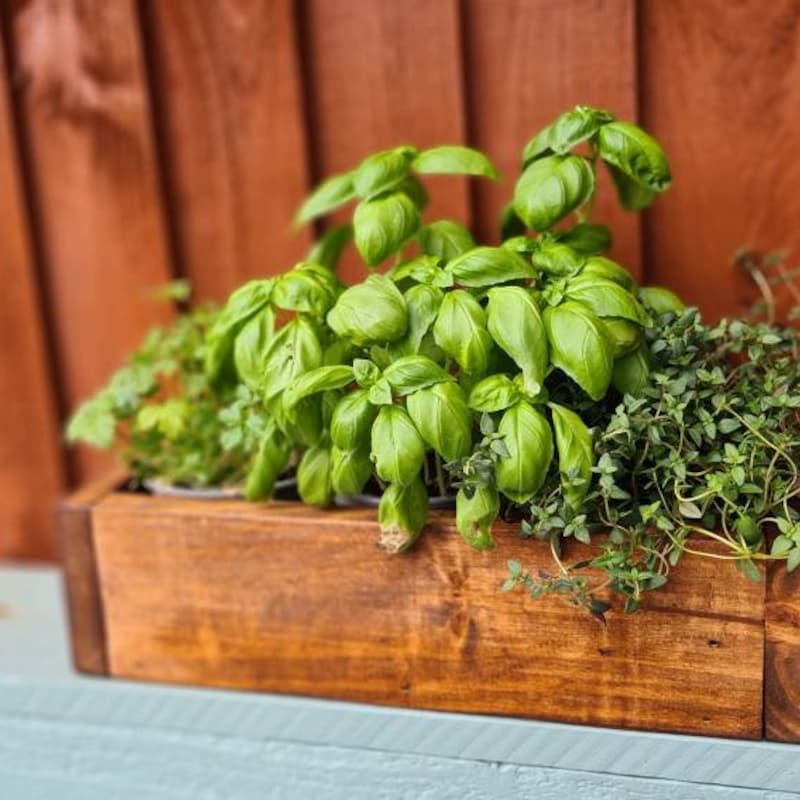 Display Box Window - Etsy UK