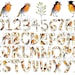 Robin Bird Fonts Png, Robin Alphabet Clip Art, Birds Fonts, Doodle ...