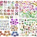 PNG Bundle for Sublimation floral Bundle Png 1779 Png - Etsy