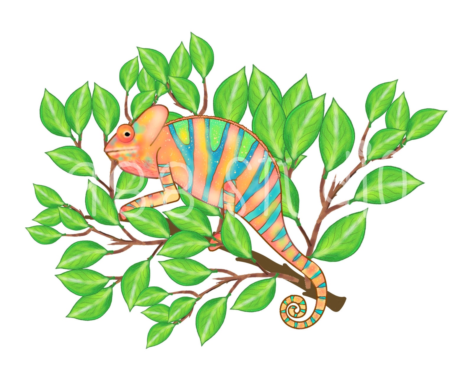 Chameleon Print chameleon Digital Chameleon Art Reptile - Etsy