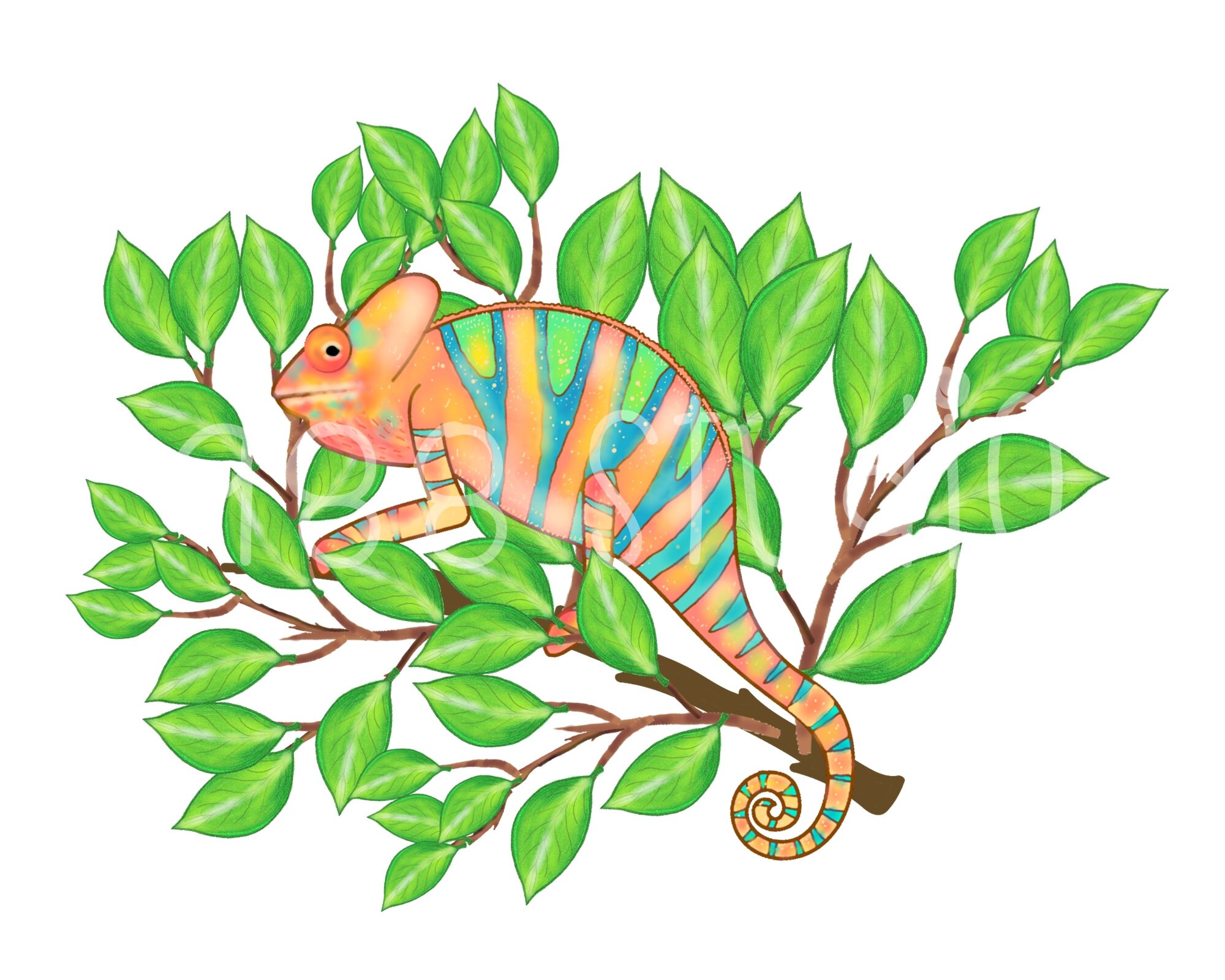 Chameleon Clip Art chameleon Png Chameleon Art Print Animal - Etsy