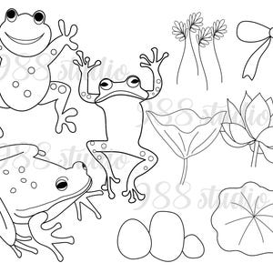 Frog Line Drawings, Frog Svg, Doodle Frog Png, Funny Frogs, Doodle Line ...