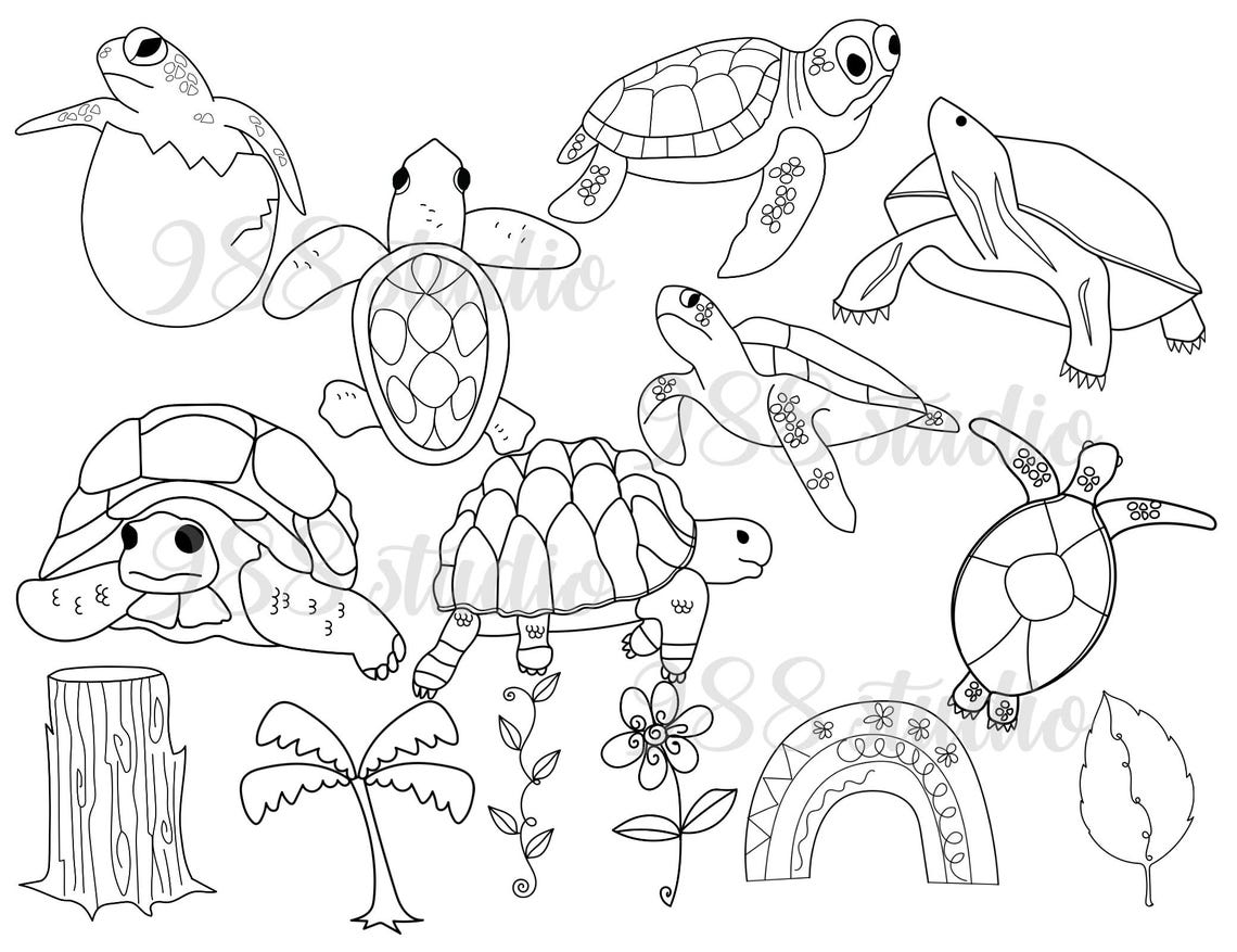 Turtle Svg, Turtle Line Drawings, Doodle Turtle Png, Sea Animal Art ...