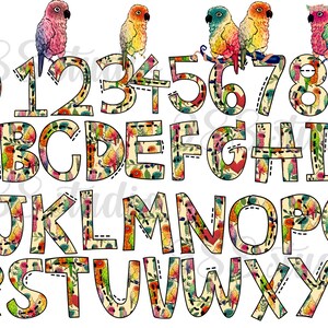 Parrot Font Png, Doodle Alphabet, Parrots Clip Art, Bird Alphabet Png ...