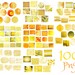 PNG Bundle for Sublimation floral Bundle Png 1779 Png - Etsy