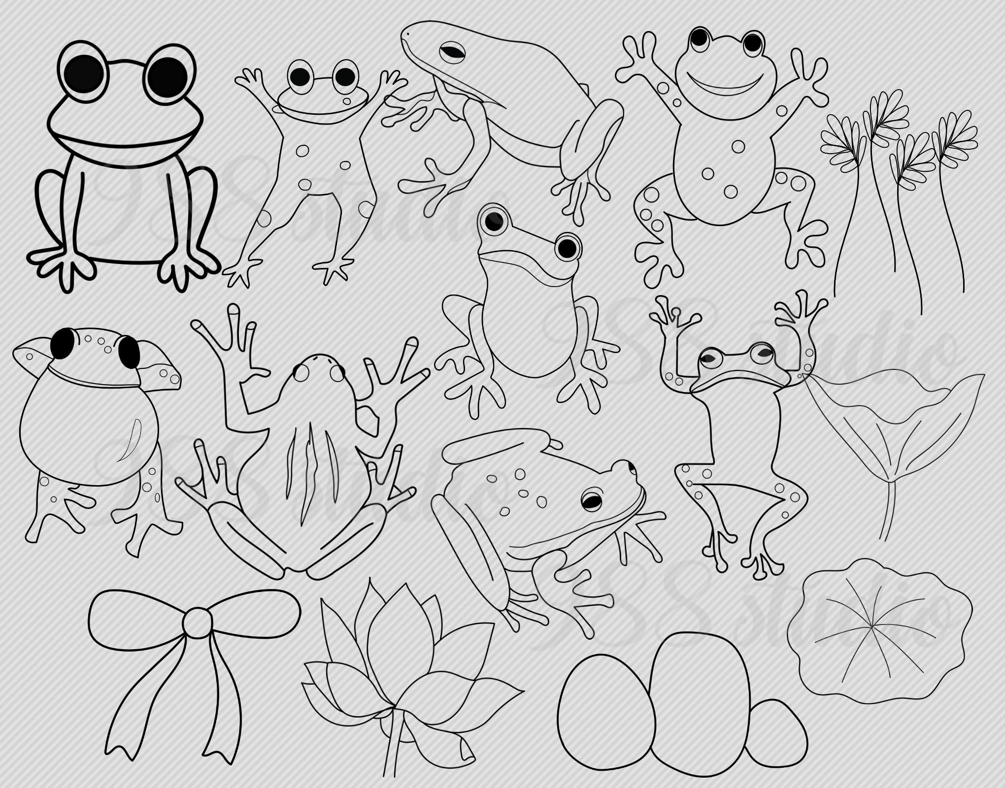 Frog Line Drawings, Frog Svg, Doodle Frog Png, Funny Frogs, Doodle Line ...