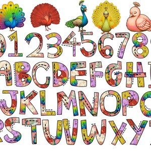 Peacock Fonts, Ornament Font, Number Clip Art, Peacock Bird Sublimation ...