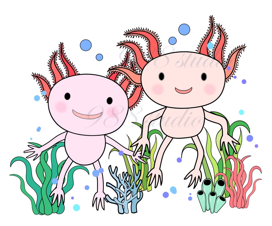 Axolotl Clip Art Exotic Pet Art Salamander Art Exotic - Etsy