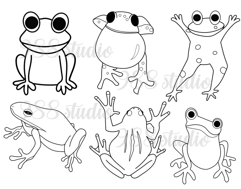 Frog Line Drawings, Frog Svg, Doodle Frog Png, Funny Frogs, Doodle Line ...