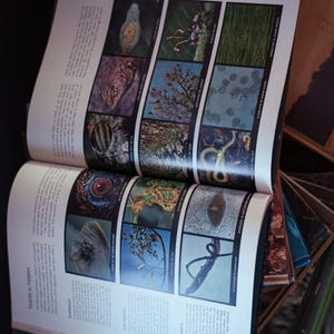 Time Life Nature Library Reference Books - Vintage Books Good/fair ...