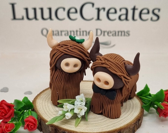 Bride and Groom Highland Cow Wedding Gift His and Hers Wedding Favour ...