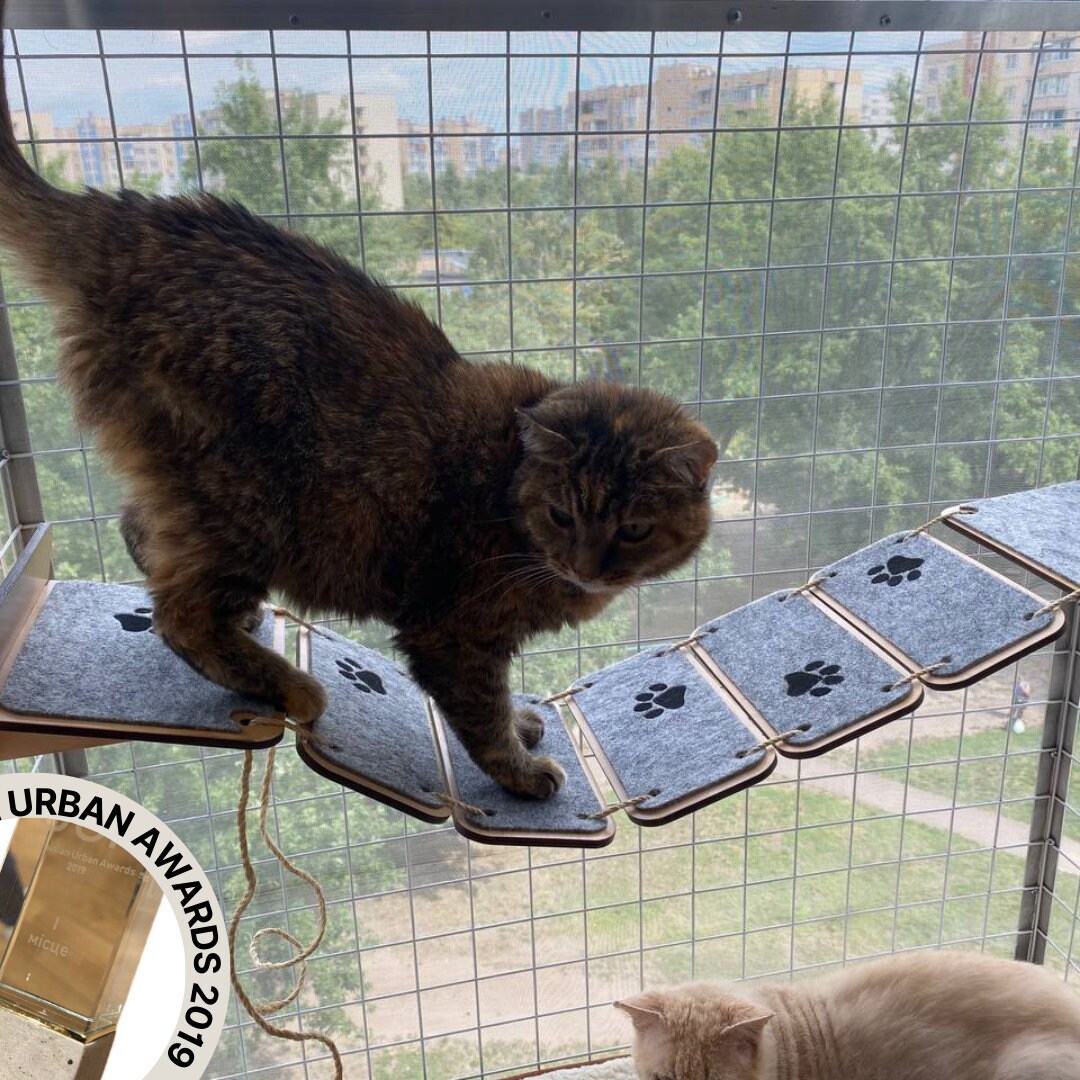 Indoor Cat Ladder for Window, Wooden Cat Bridge as Cat Tree, Cat Loves ...