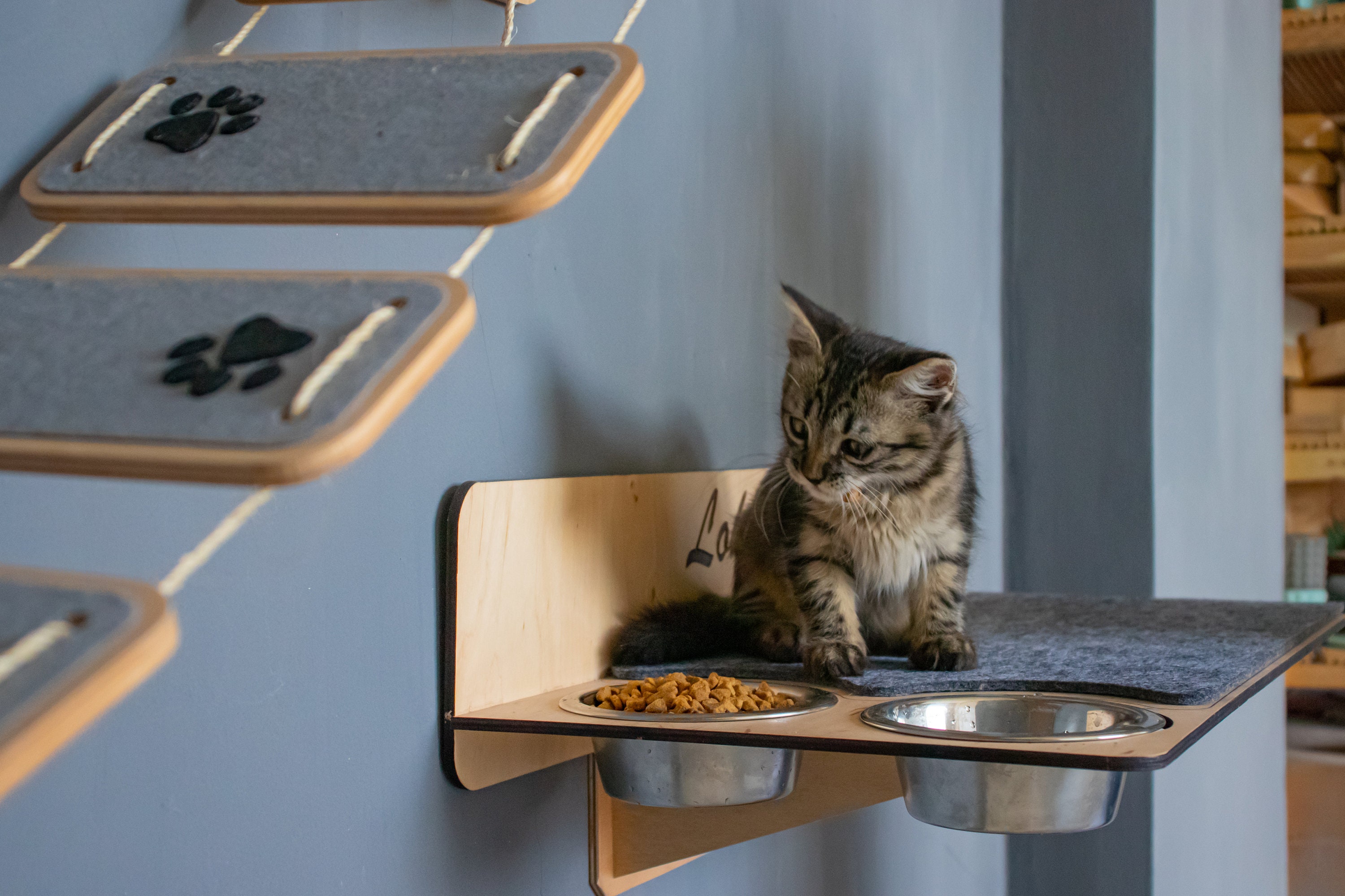 Cat Wall Shelves, Wall Feeder, Cat Food Shelf, Shelf With 2 Bowls - Etsy