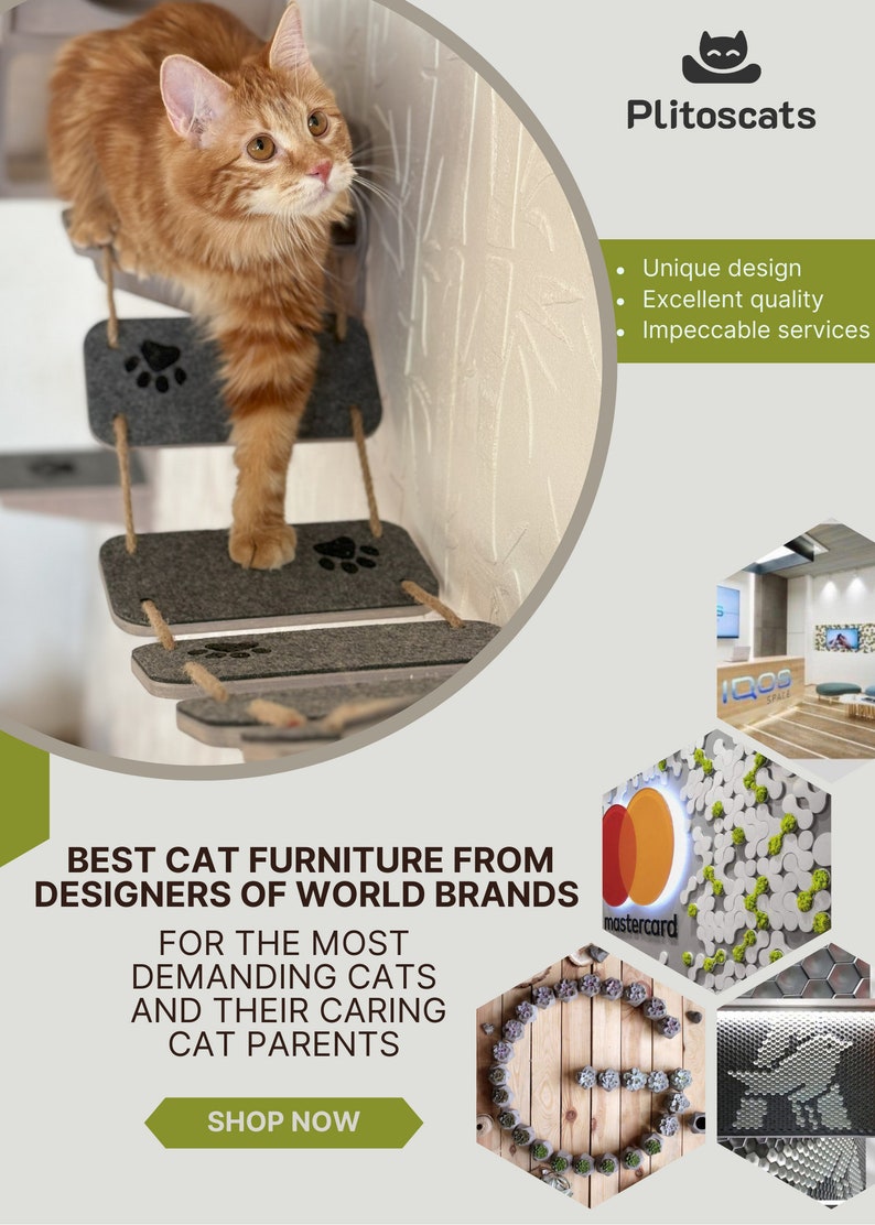 Wooden Modern Set of Cat Wall Steps, Climbing Wall With Cat Ladder ...