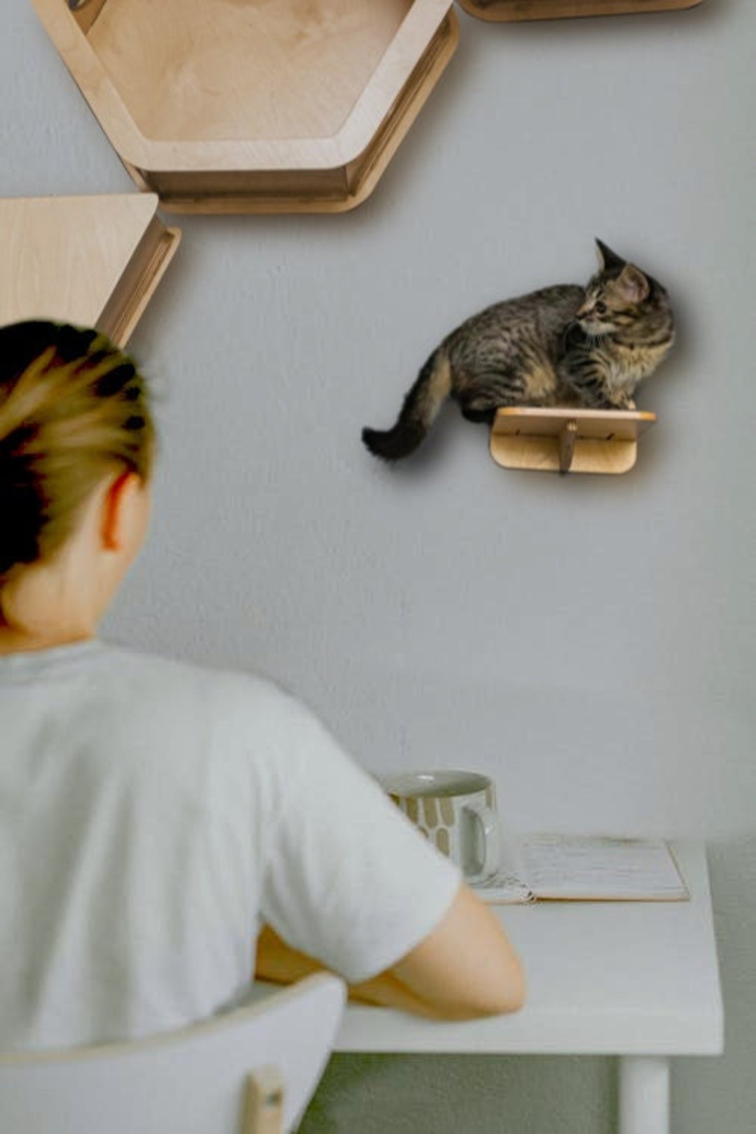 Cat Wall, Cat Tree, Cat Step, Cat Stairs, Cat Bridge, Cat Shelf - Etsy
