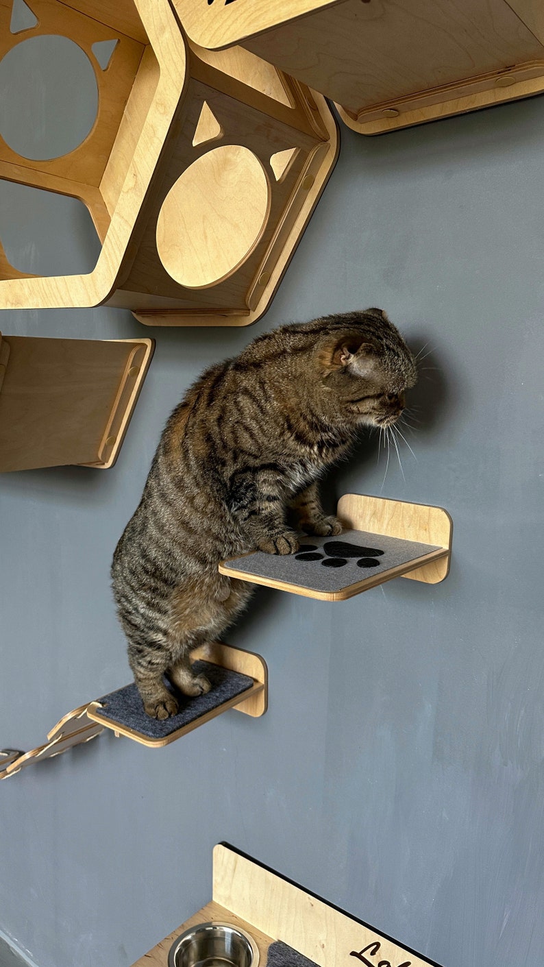 Wooden Modern Set of Cat Wall Steps, Climbing Wall With Cat Ladder ...