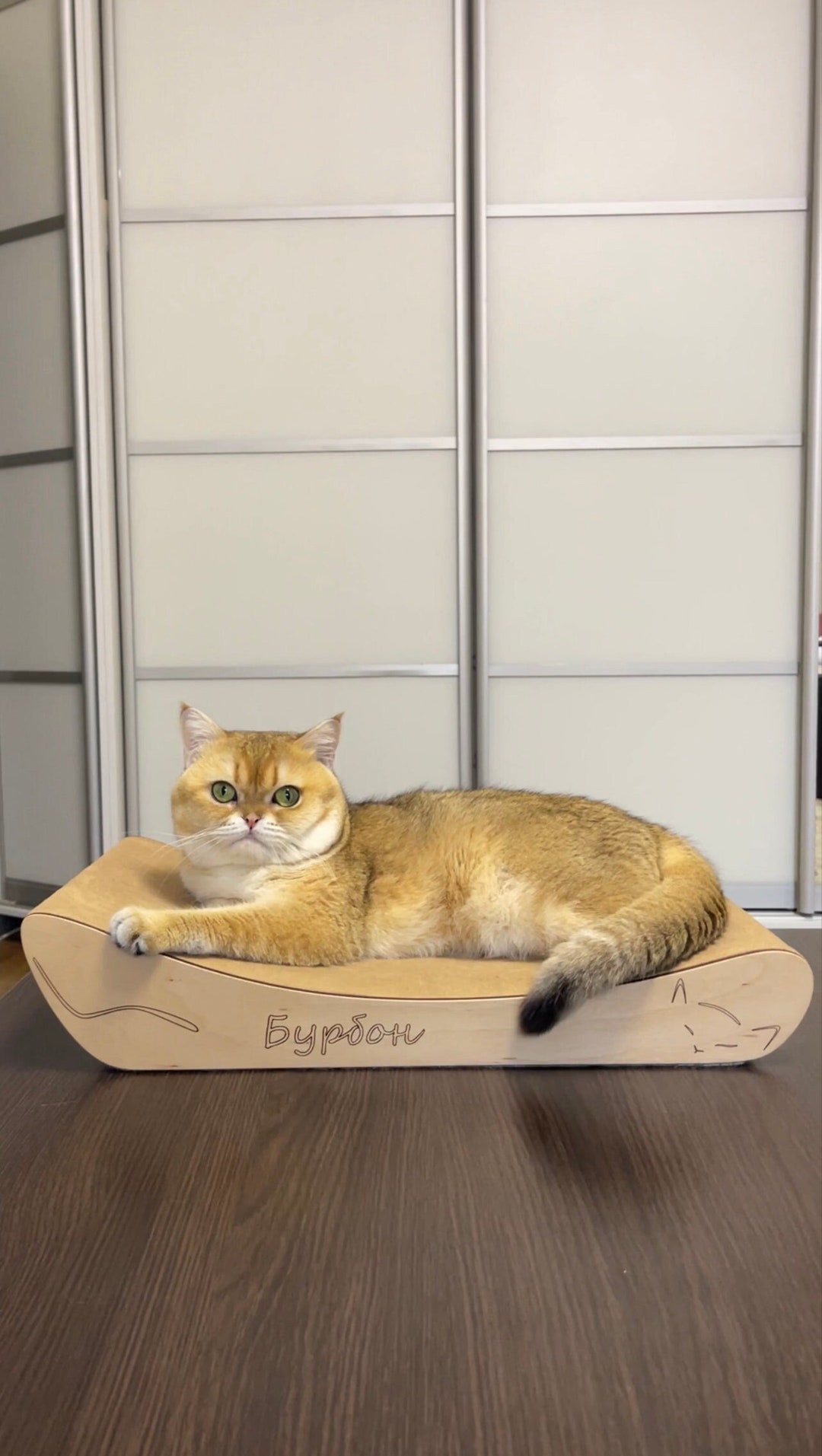 Cat Scratch, Cat Bed, Cat Scratching Post, Gift for Cats, Cat Toys ...