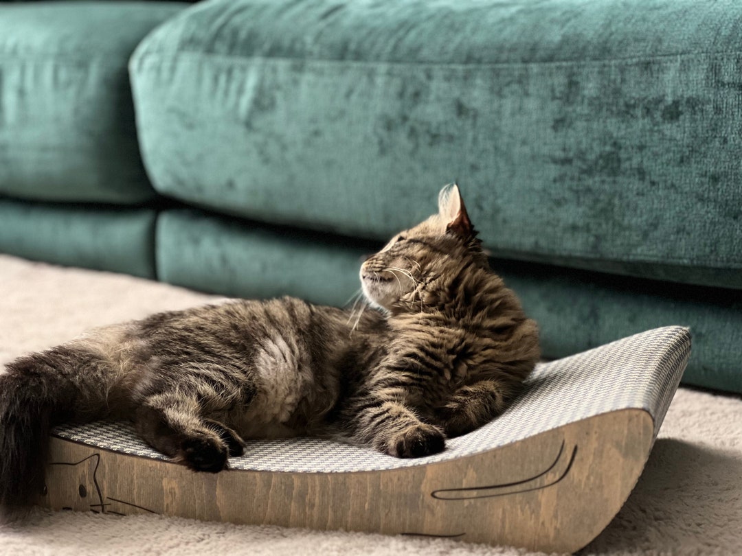 Cat Scratching Post, Cat Bed, Cat Furniture, Scratching Bed, Cat Couch ...