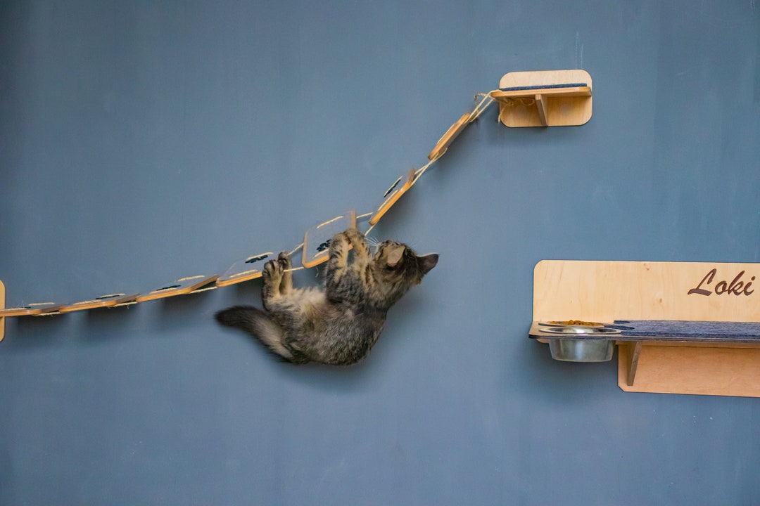 Wall Cat Bridge, Cat Ladder, Cat Steps, Cat Stairs, Cat Wall Furniture ...