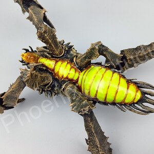 Handmade Terminid Figurine – Sci-fi Game Inspired, DIY - Etsy