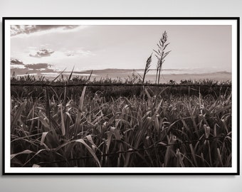 Texas Panhandle Art | Etsy