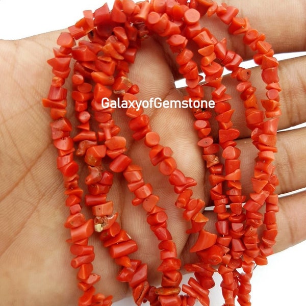 Coral Chips - Etsy
