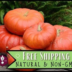 60 Pumpkin Seeds (cinderella) | Rare Heirloom, Non-gmo, Vegetable ...