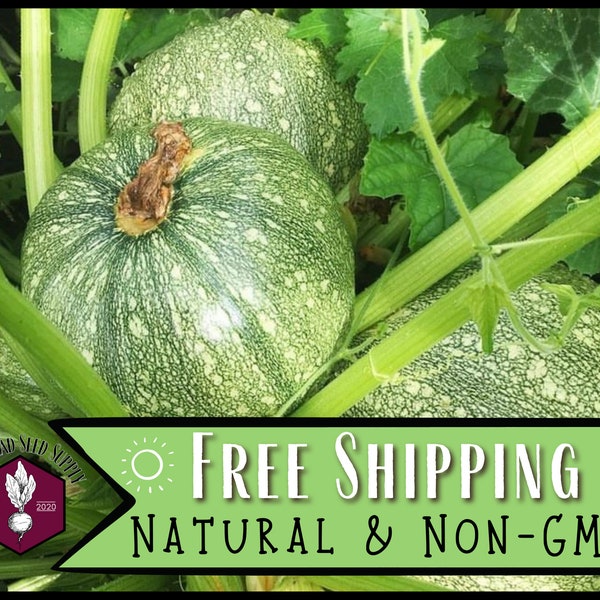 Rare Vegetable Seeds - Etsy