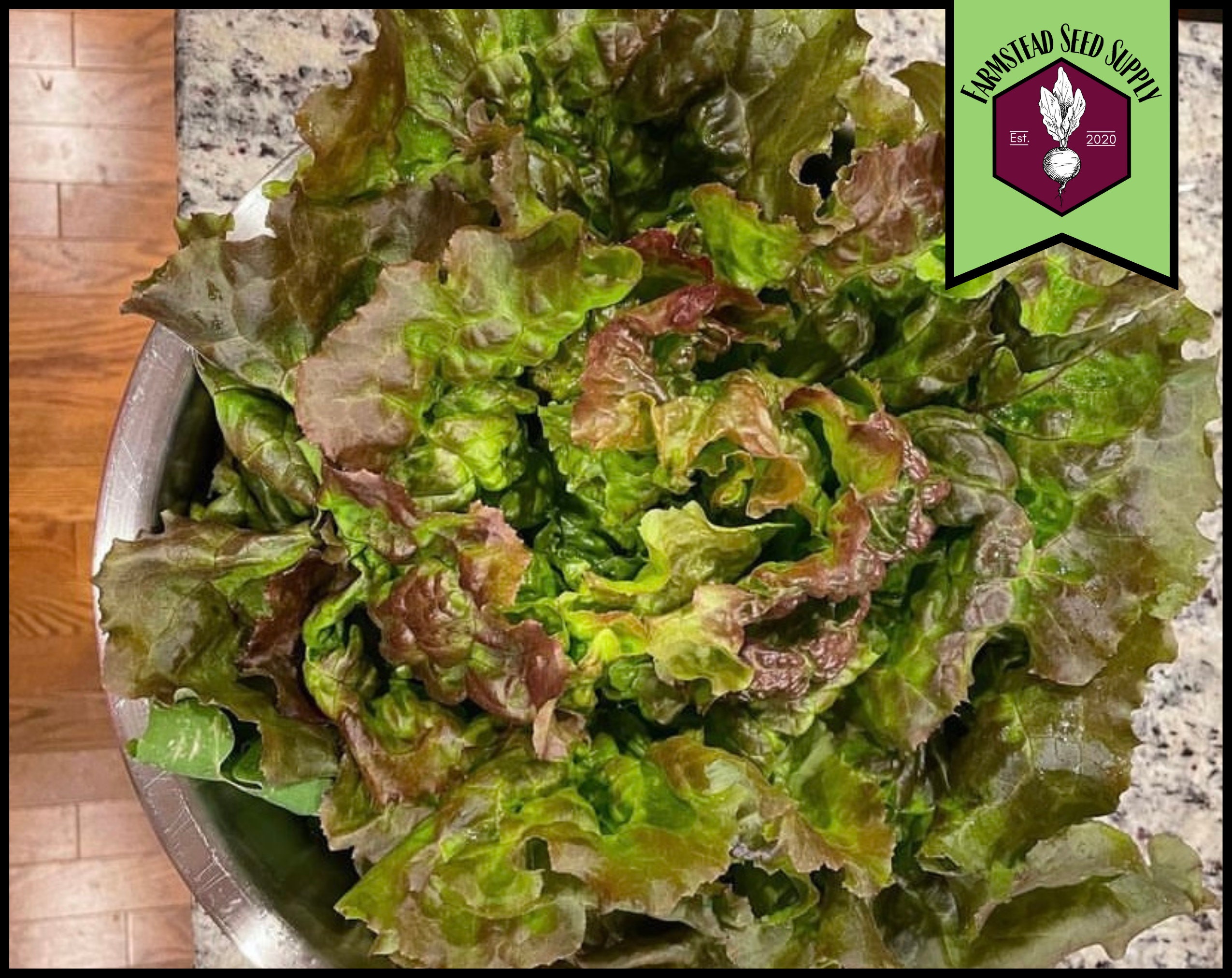 21,100 Lettuce Seeds (prizehead) | Heirloom, Non-gmo, Vegetable Garden ...