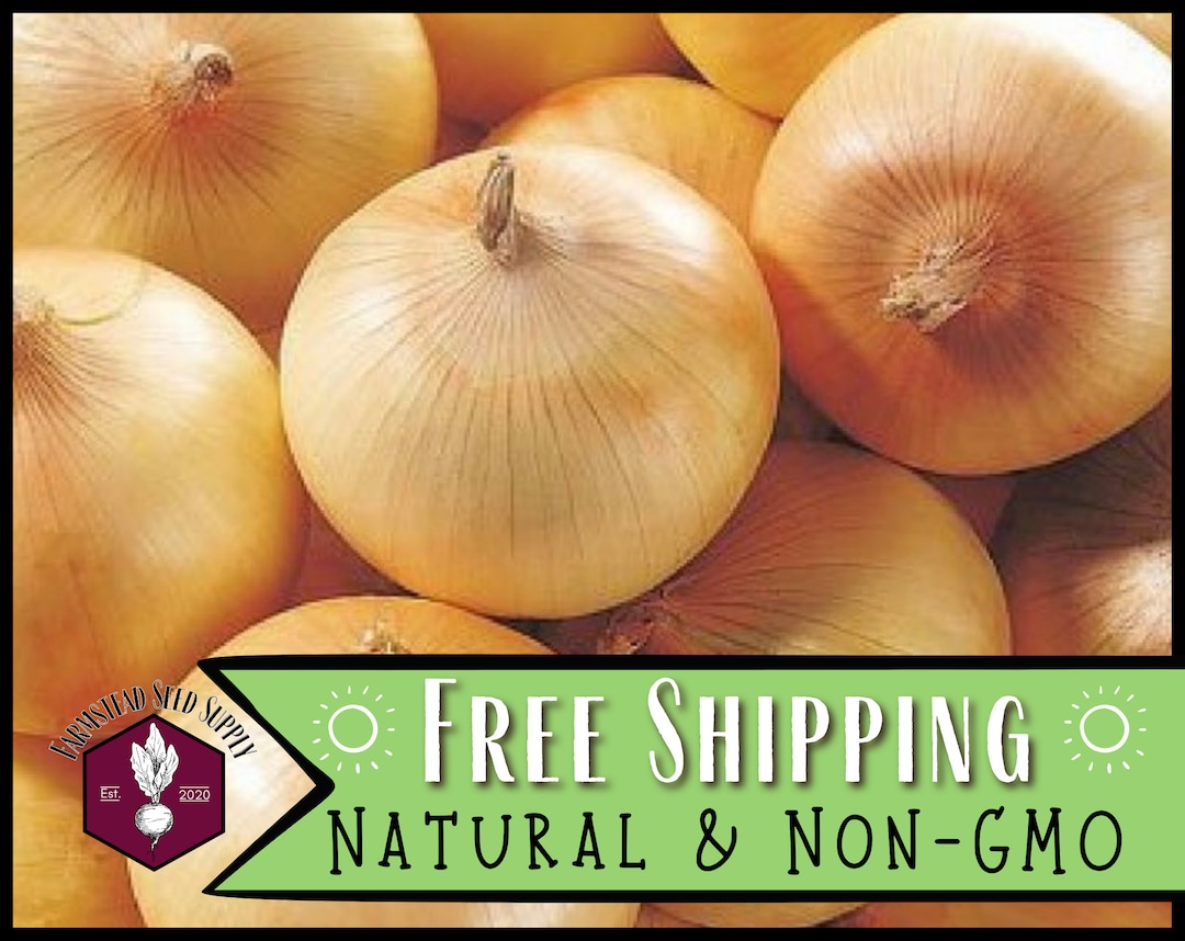 4,300 Onion Seeds (yellow Sweet Spanish) | Heirloom, Non-gmo, Vegetable ...