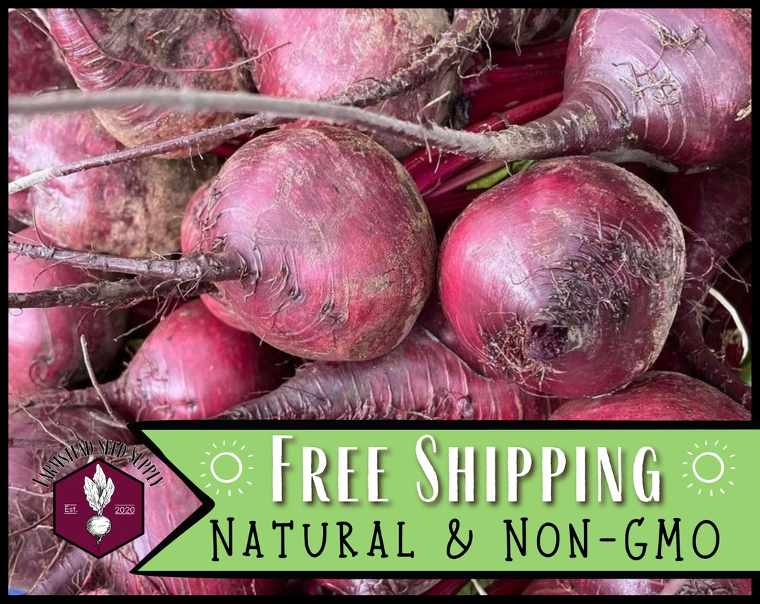 2,300 Beet Seeds (ruby Queen) | Heirloom, Non-gmo, Vegetable Gardening ...