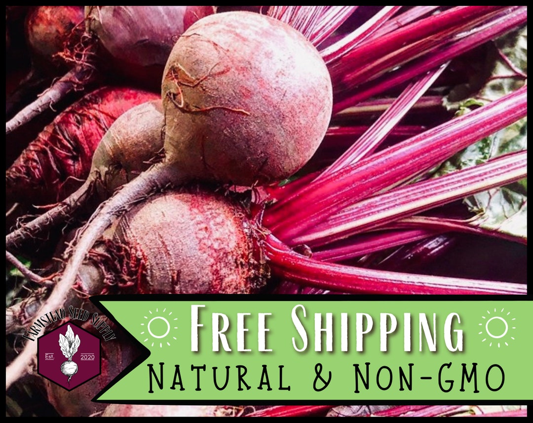 1,350 Beet Seeds (detroit Dark Red) | Heirloom, Non-gmo, Vegetable ...