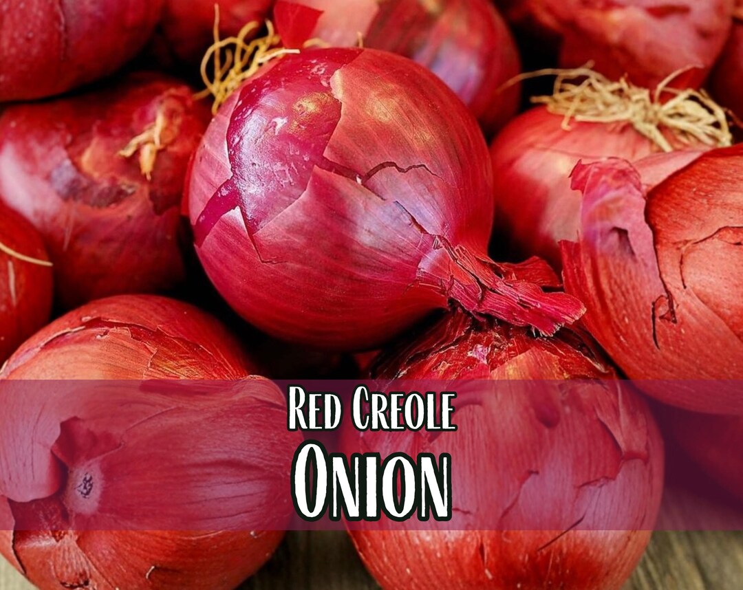 5,500 Onion Seeds (red Creole) | Heirloom, Non-gmo, Vegetable Garden ...
