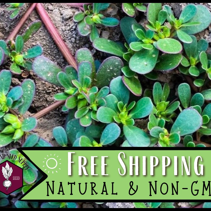 Edible Green Floral - Etsy