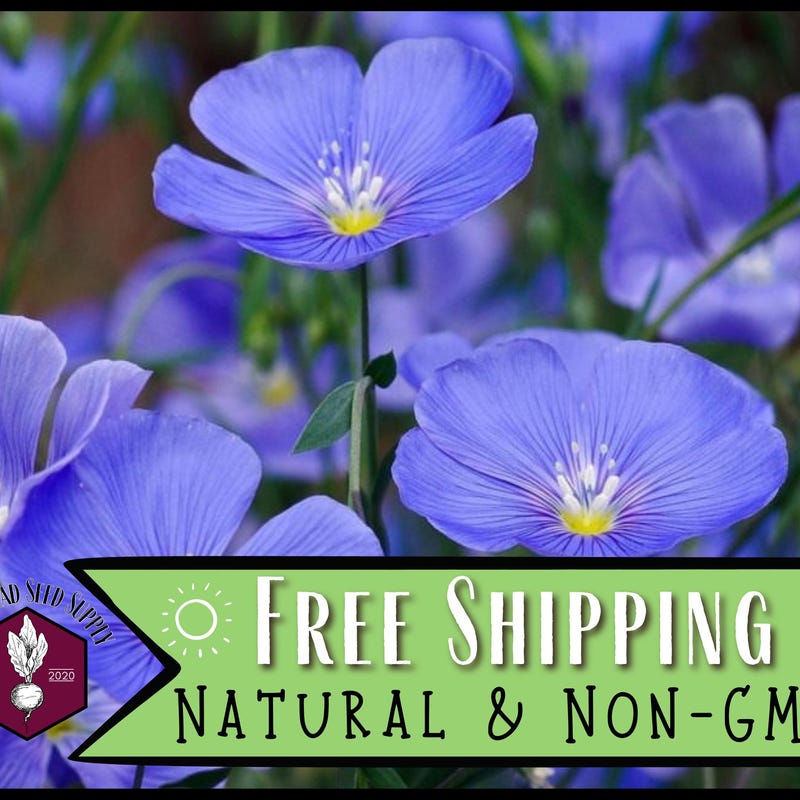 Textile Blue Flowers - Etsy