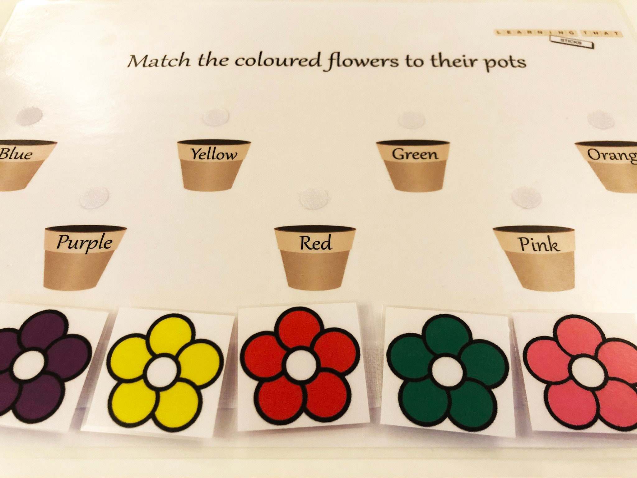 Match the Coloured Flowers Learning Sheet Learning Sheet Learning Sheet ...