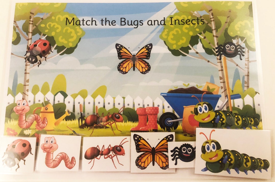 Bugs & Insects Learning Sheet / Preschool / Toddler / EYFS / Early ...