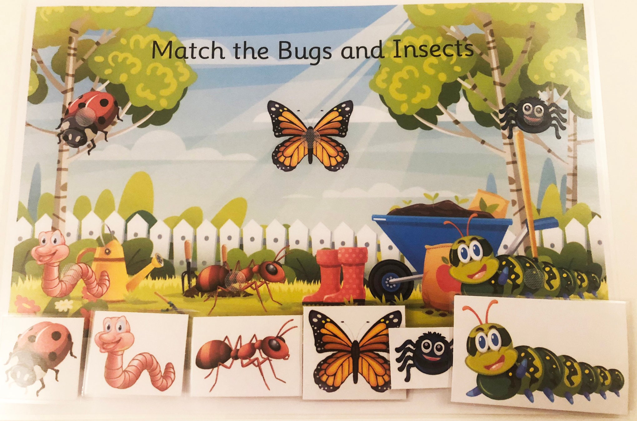 Bugs & Insects Learning Sheet / Preschool / Toddler / EYFS / Early ...