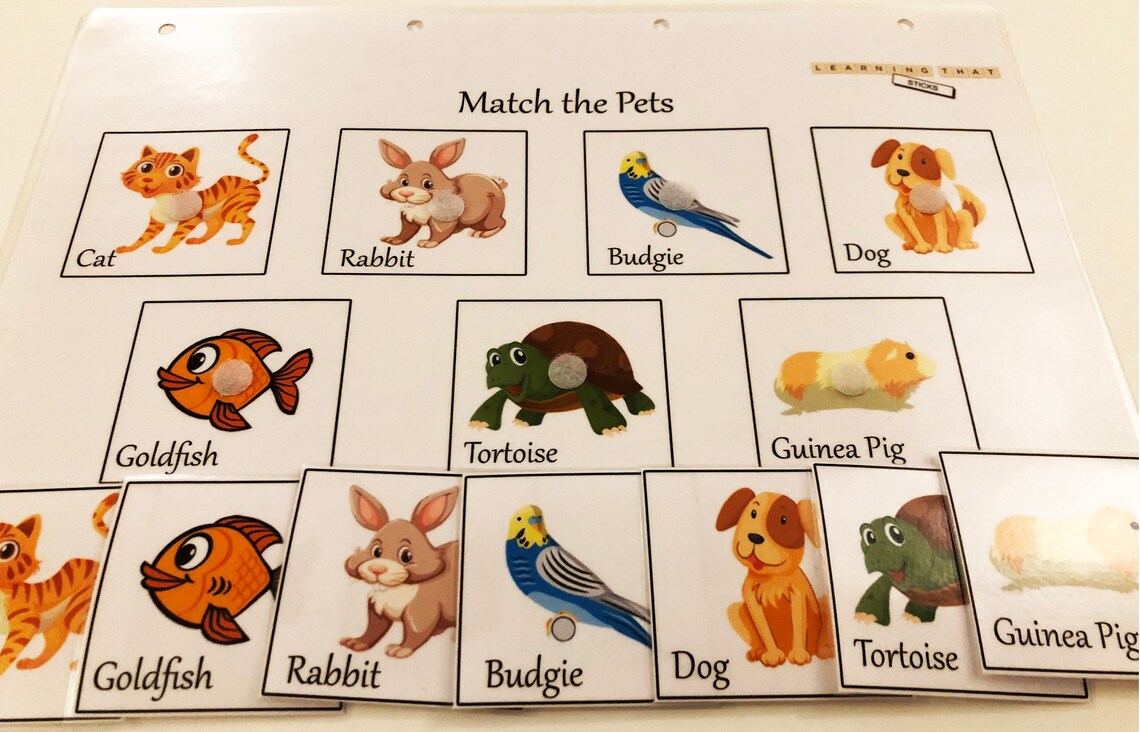 Pets Learning Sheet / Preschool / Toddler / EYFS / Early Years ...