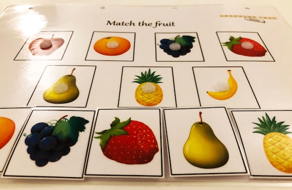 Digital Fruit Learning Sheet / Preschool / Toddler / EYFS / | Etsy