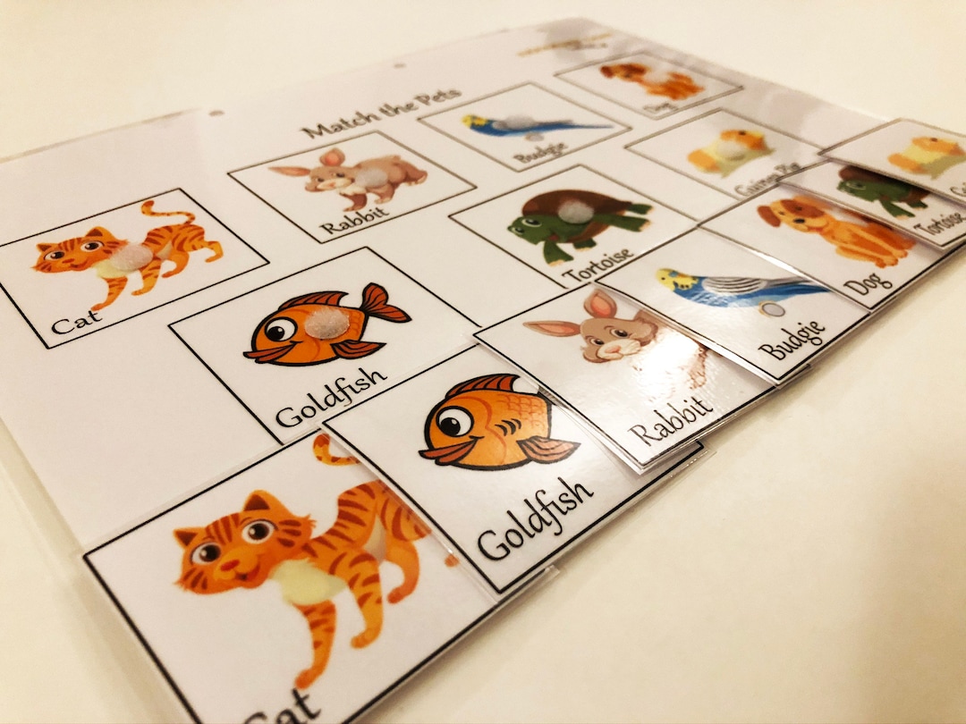 Digital Pets Learning Sheet / Preschool / Toddler / EYFS / Early Years ...