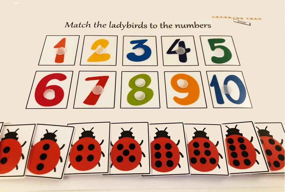 Ladybird Number Matching Learning Sheet / Early Years / Toddler ...