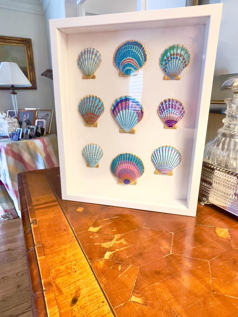 Hand Painted Shells Mounted in a White Shadow Box L 9 Scallop Shells in ...