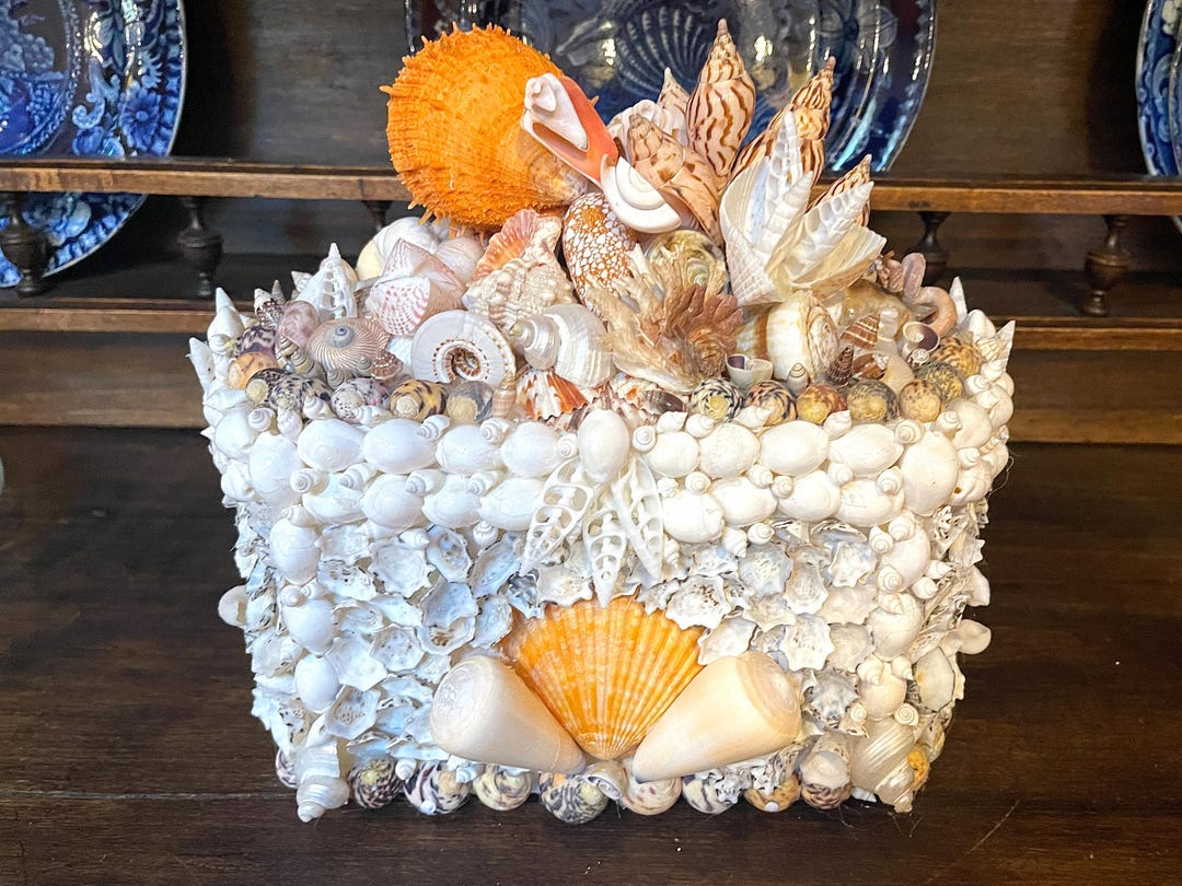 Shell Box L Sea Shell Decorative Box L Table Top Shell Art L Shell Art ...