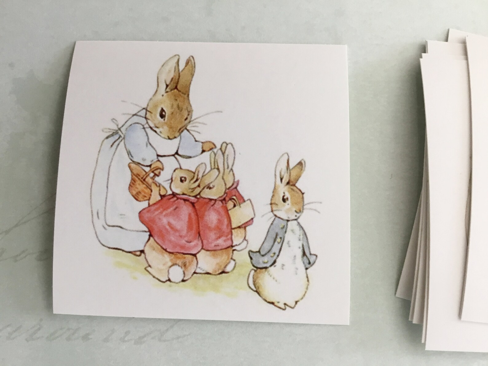Set/24 PETER RABBIT Beatrix Potter 2x2inch Spring - Etsy