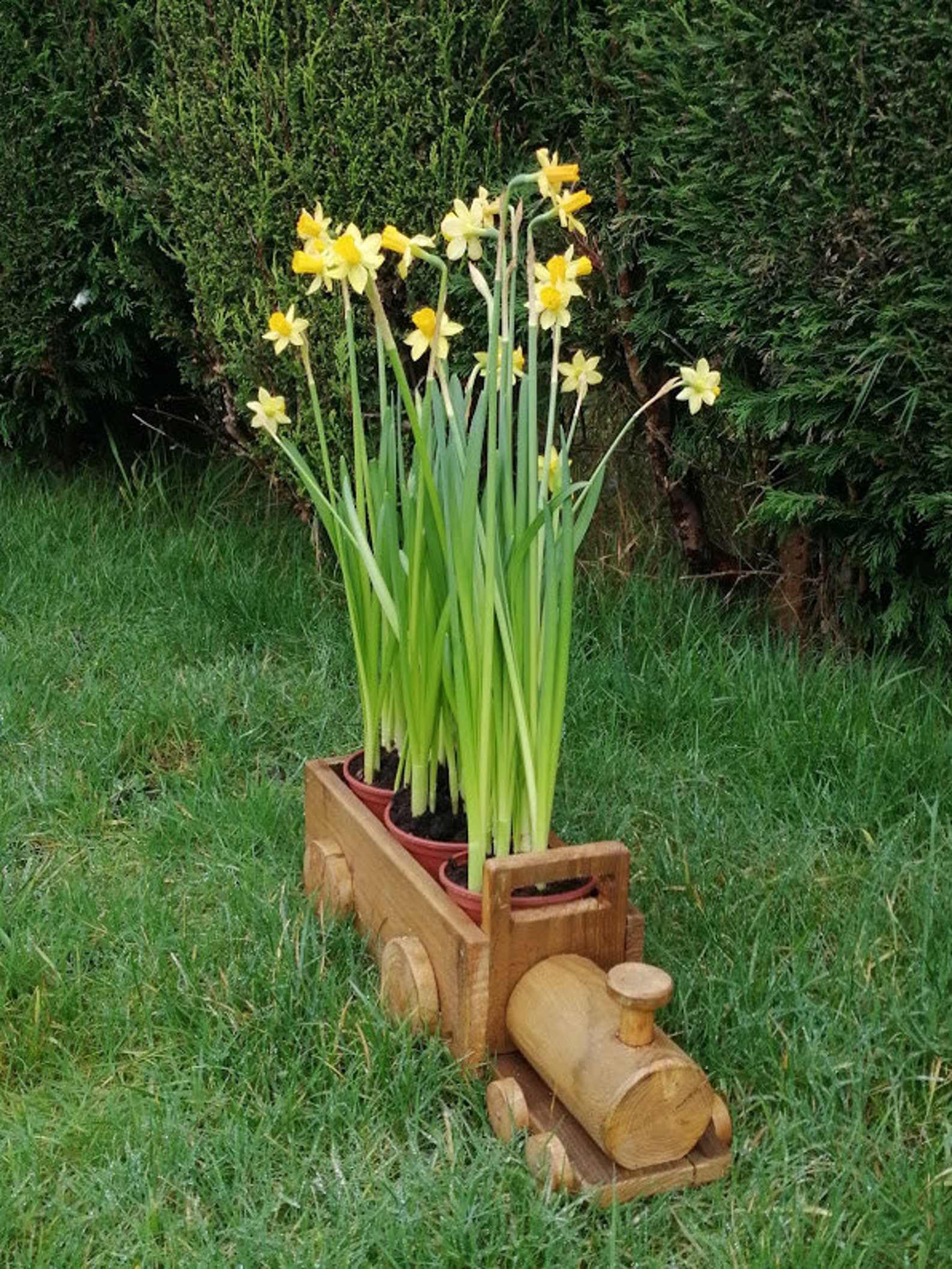 Beautiful Outdoor Wooden Train Planter, Perfect Gift for the Garden at ...