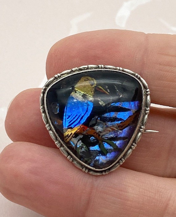 Antique butterfly wing brooch, sterling silver trian… - Gem