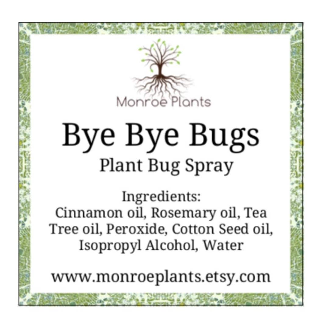 Bye Bye Bugs All Natural Plant Bug Spray - Etsy
