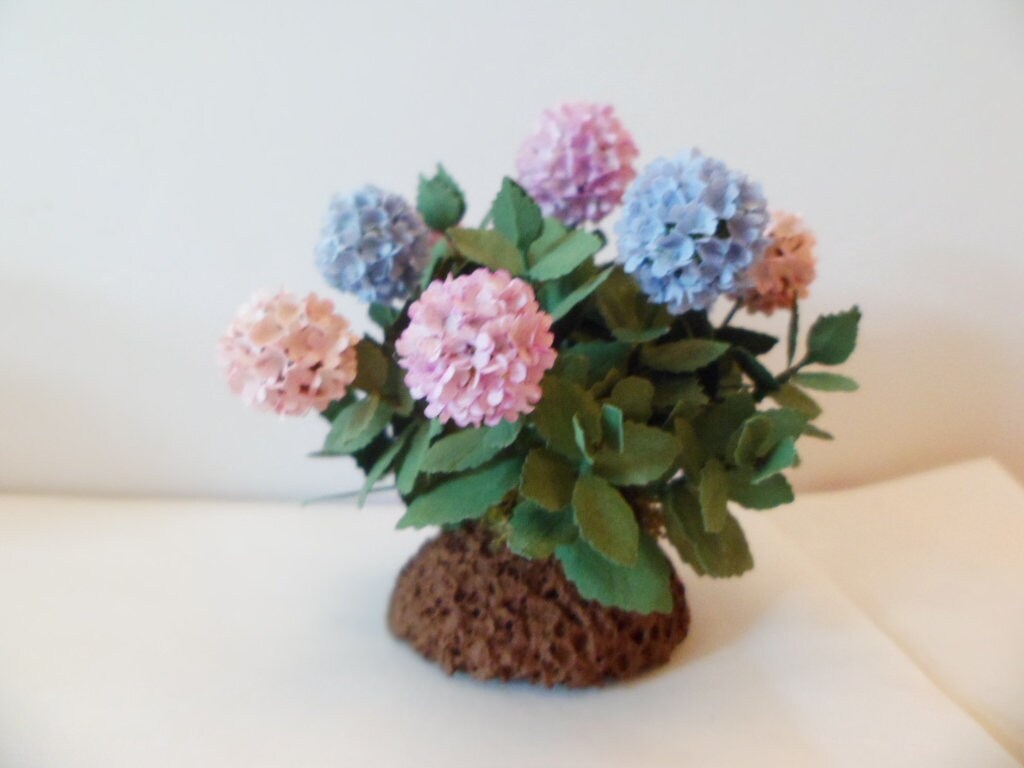 Miniature Hydrangea Bush - Etsy