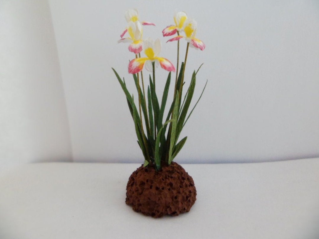Iris White Edged in Raspberry 1" Dollhouse Scale These Flowers Are Not ...
